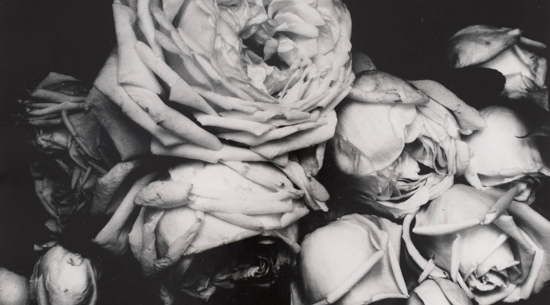 Edward Steichen (1879-1973). The Artist’s View | Nationalmusée